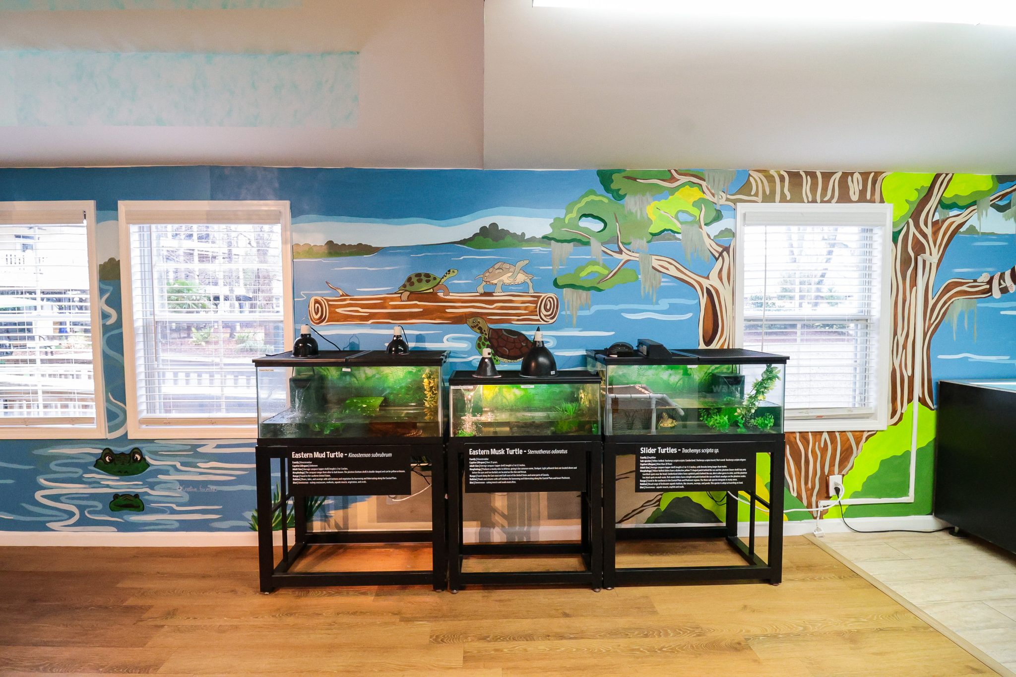 Learn about Marine Life, Shells, and Fossils at Ocean Lakes Nature Center.